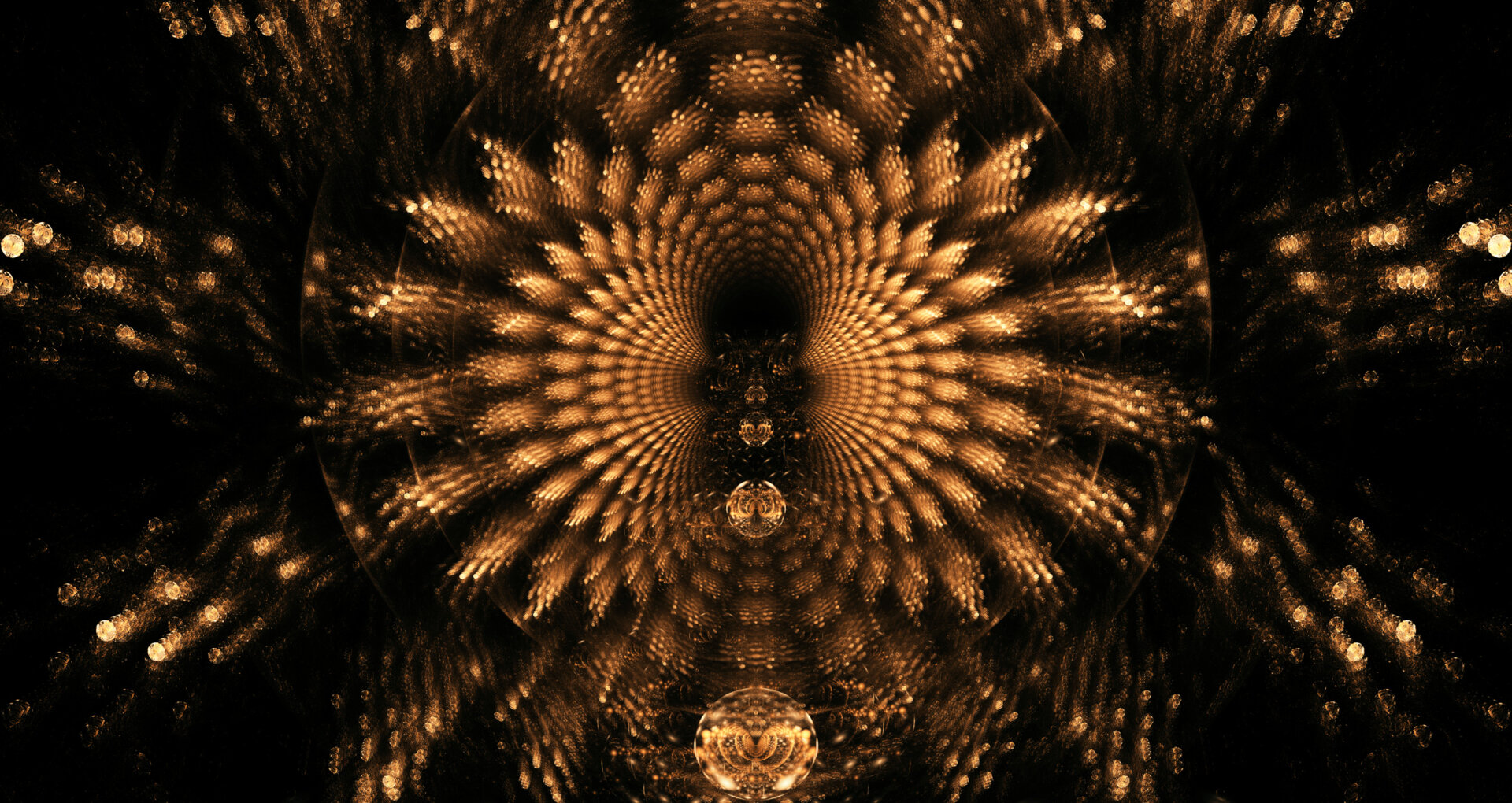 Syntropy Collection • F R A C T A L I N A